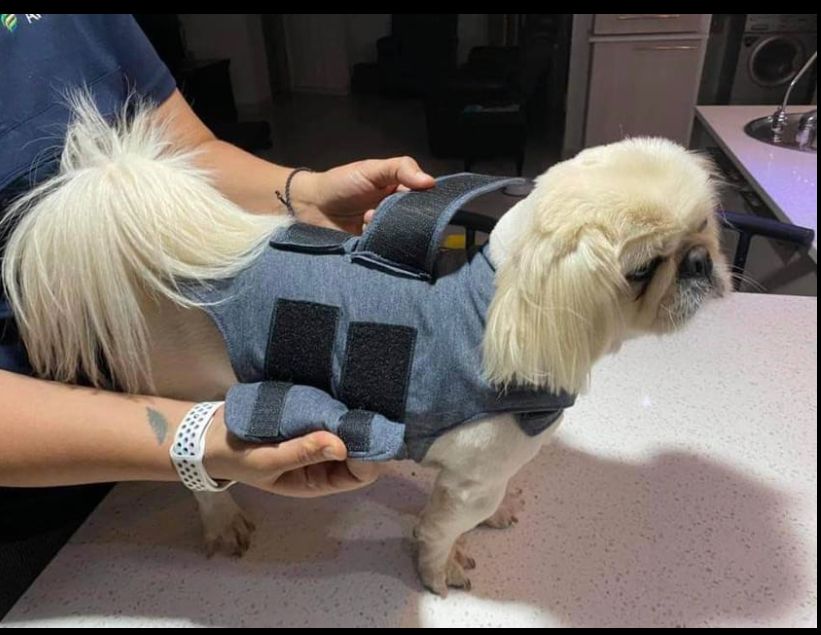 Hug Me Anxiety Jackets – PawStepz